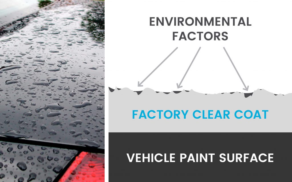 Exterior Protection_Paint Diagram_no1 | MotorOne