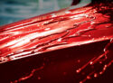 HYDROG9+ Ceramic Vehicle Surface Coatings | MotorOne